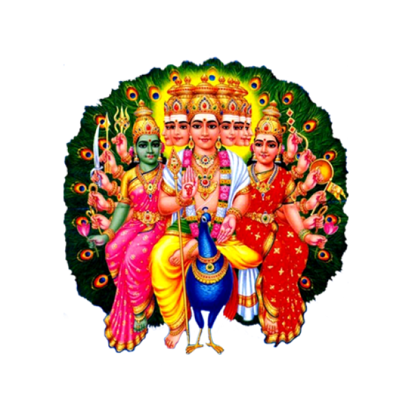 Sathru Samhara Trishati Homam - Homams | Book Homam Rituals, Poojas ...