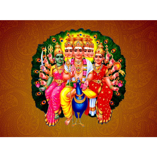 Sathru Samhara Trishati Homam - Homams | Book Homam Rituals, Poojas ...